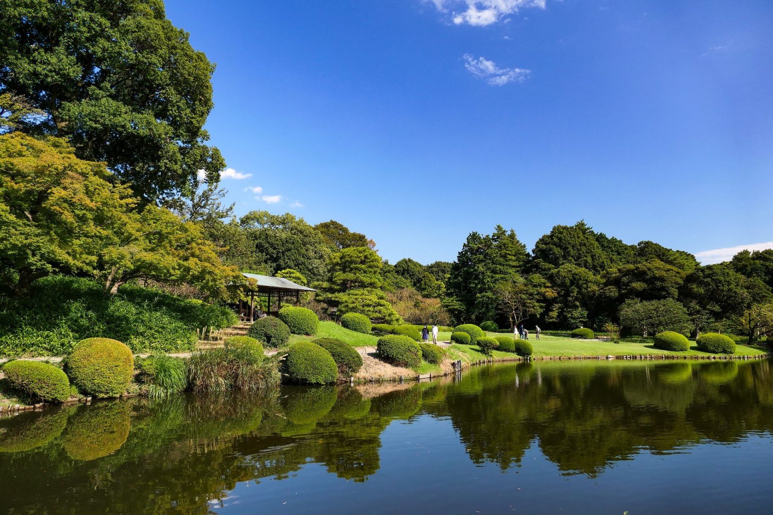Shinjuku Gyoen: the National Garden and Park in Tokyo - Japan Web Magazine