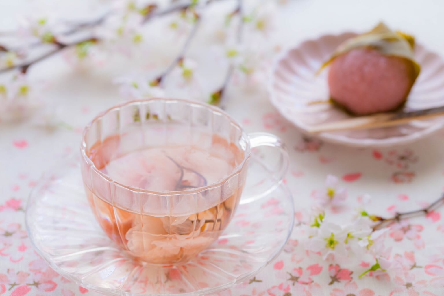 Spring in Japan: 10 Best Things to Do in 2026 - Japan Web Magazine