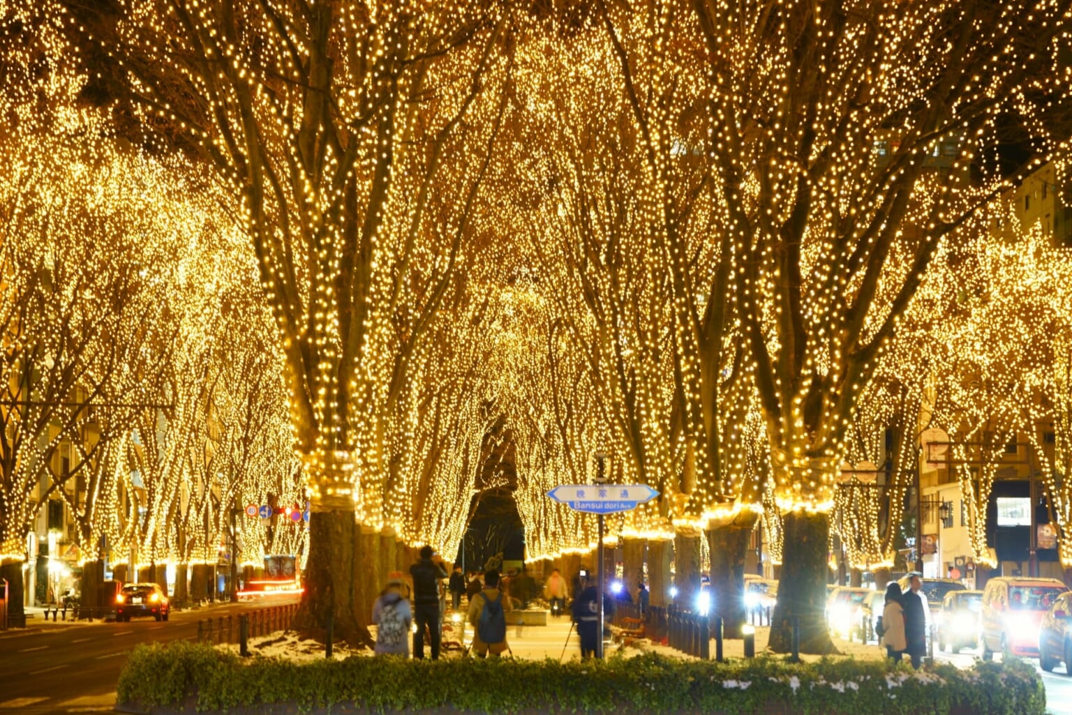 Best Winter Illuminations in Japan: Japan Illumination Map 2025-2026 ...
