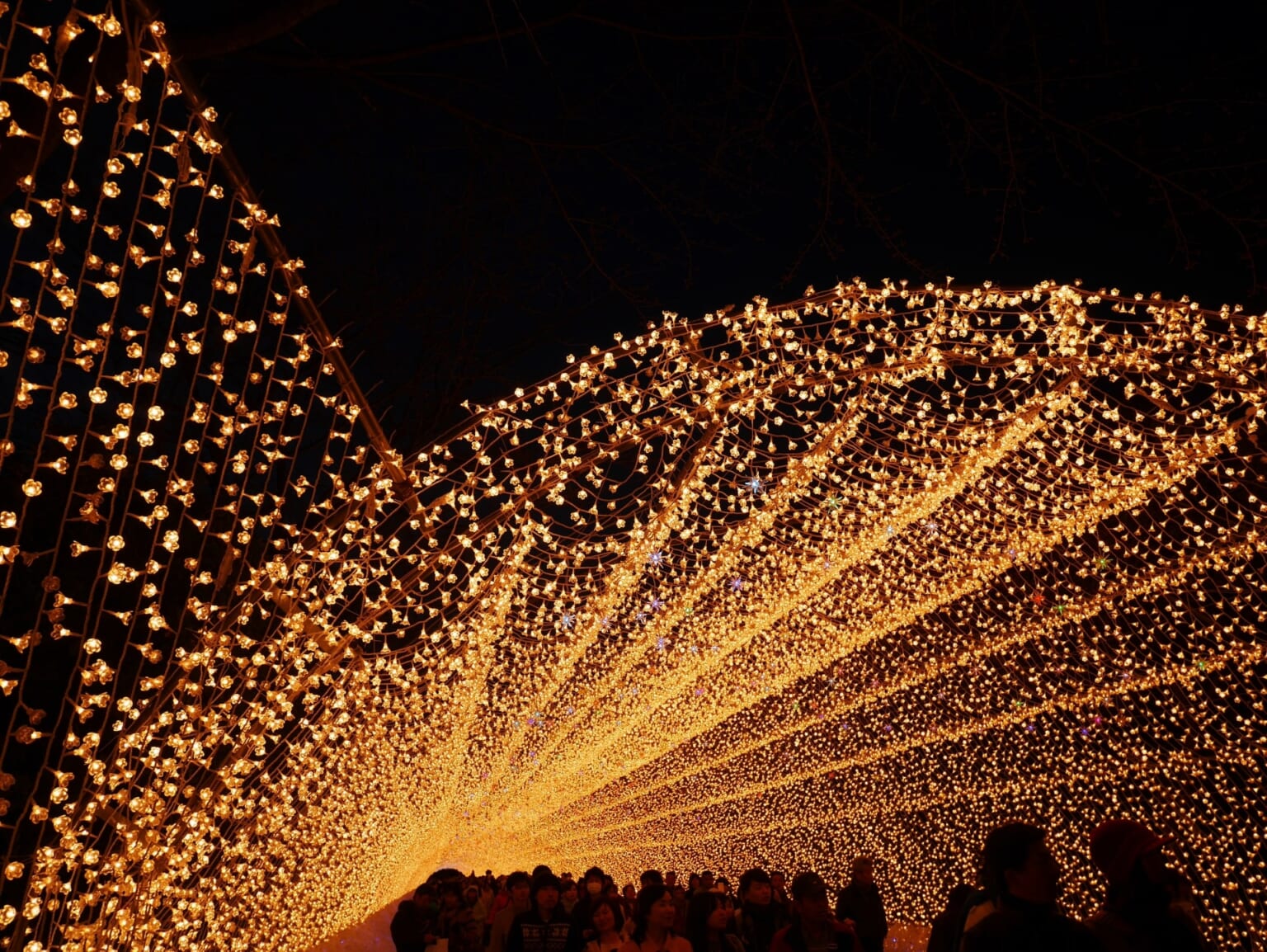 Best Winter Illuminations in Japan: Japan Illumination Map 2025-2026 ...