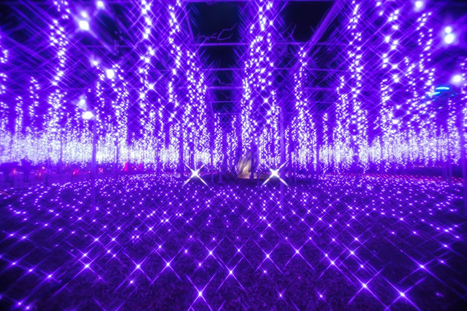 Best Winter Illuminations in Japan: Japan Illumination Map 2025-2026 ...