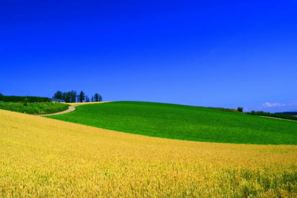 25 Best Things to Do in Hokkaido - Japan Web Magazine