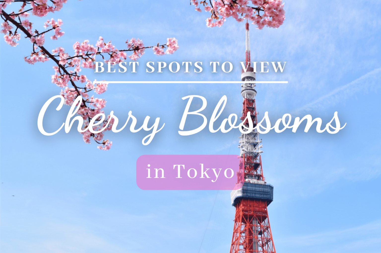 20 Best Places to See Cherry Blossoms in Tokyo - Japan Web Magazine