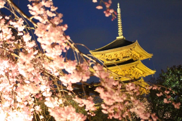 Japan Spring Travel Guide