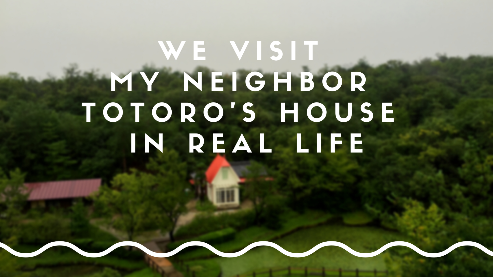 We Visit My Neighbor Totoro’s House in Real Life - Japan Web Magazine