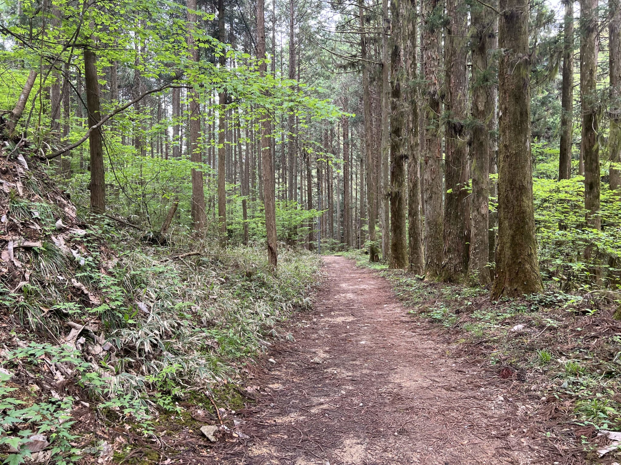 Nakasendo Trail: from Magome to Tsumago - Japan Web Magazine