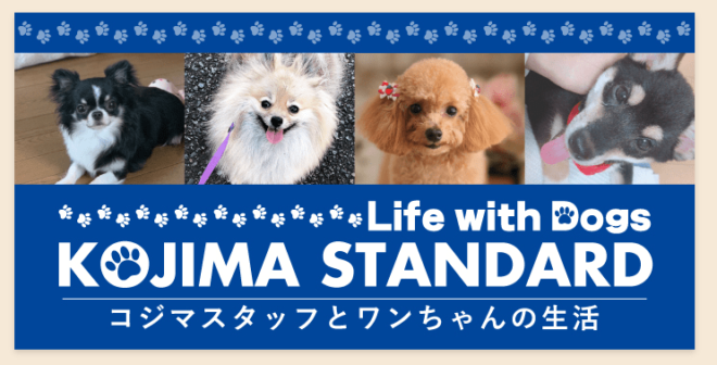 10 Best Pet Shops in Tokyo - Japan Web Magazine