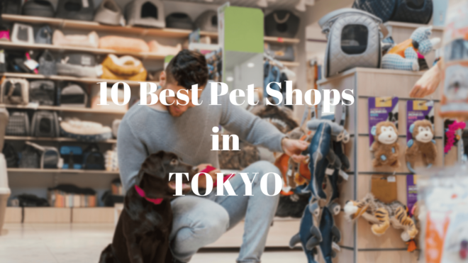 10 Best Pet Shops in Tokyo - Japan Web Magazine