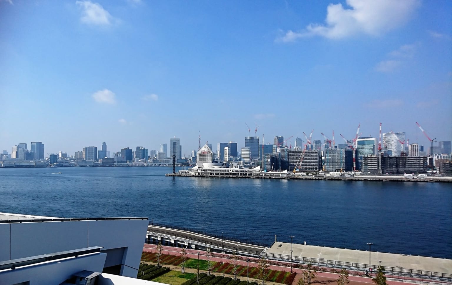 Toyosu Market: World’s Largest Fish Market - Japan Web Magazine