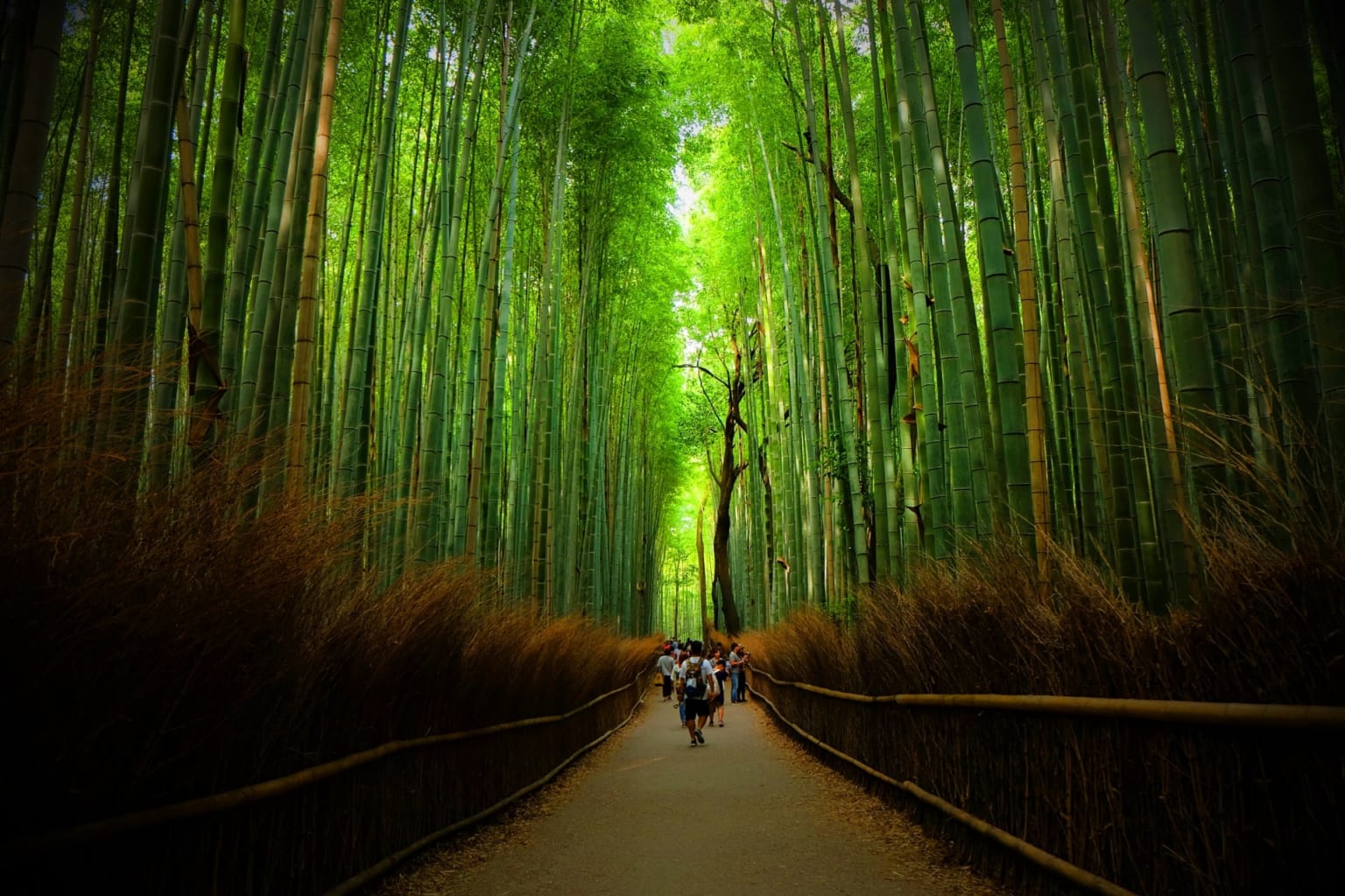17 Best Places to Visit in Kyoto - Japan Web Magazine