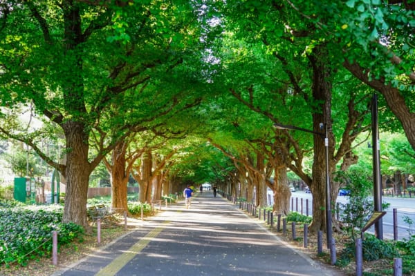 10 Best Running Paths in Tokyo - Japan Web Magazine