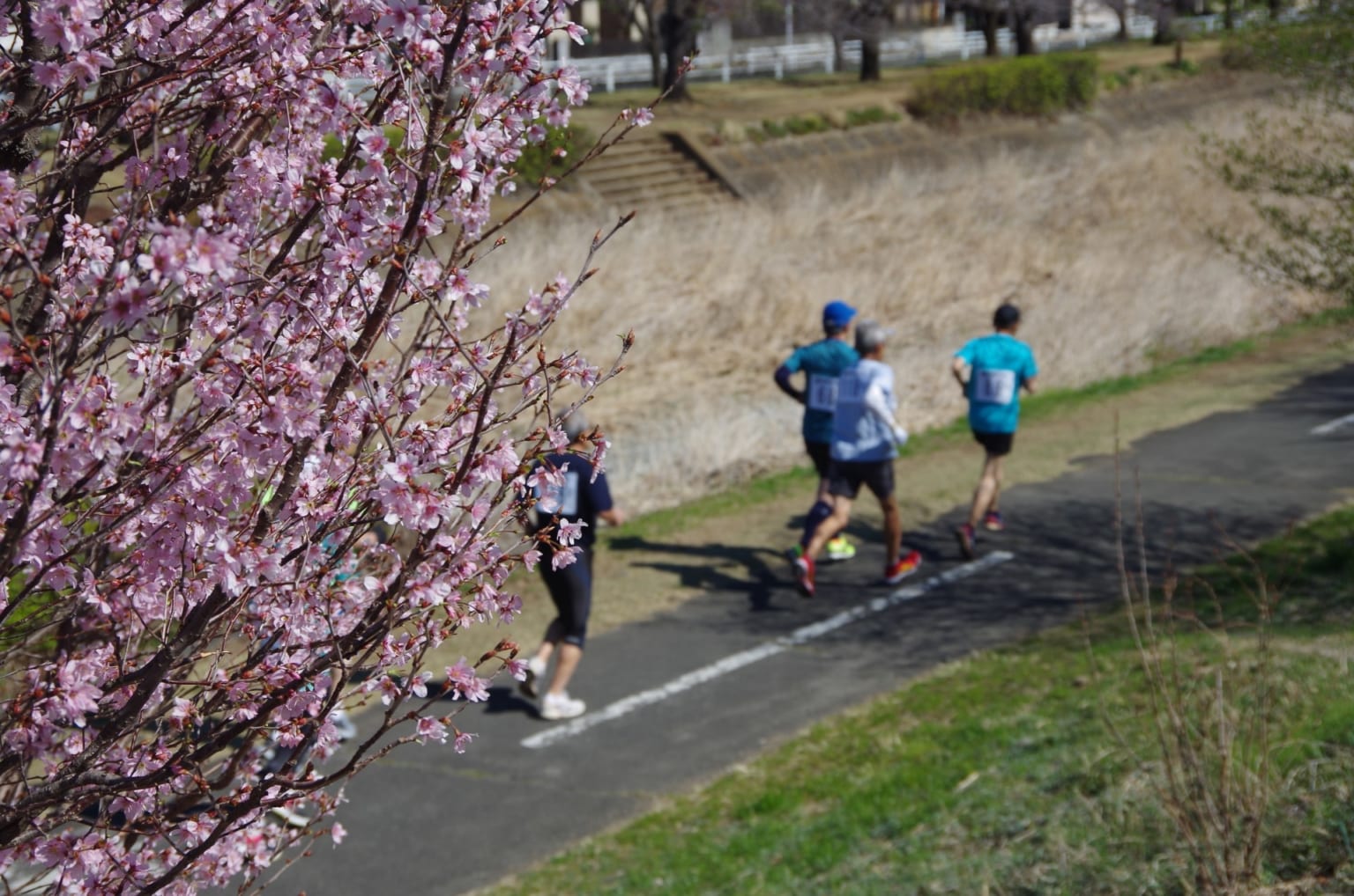 10 Best Running Paths in Tokyo - Japan Web Magazine
