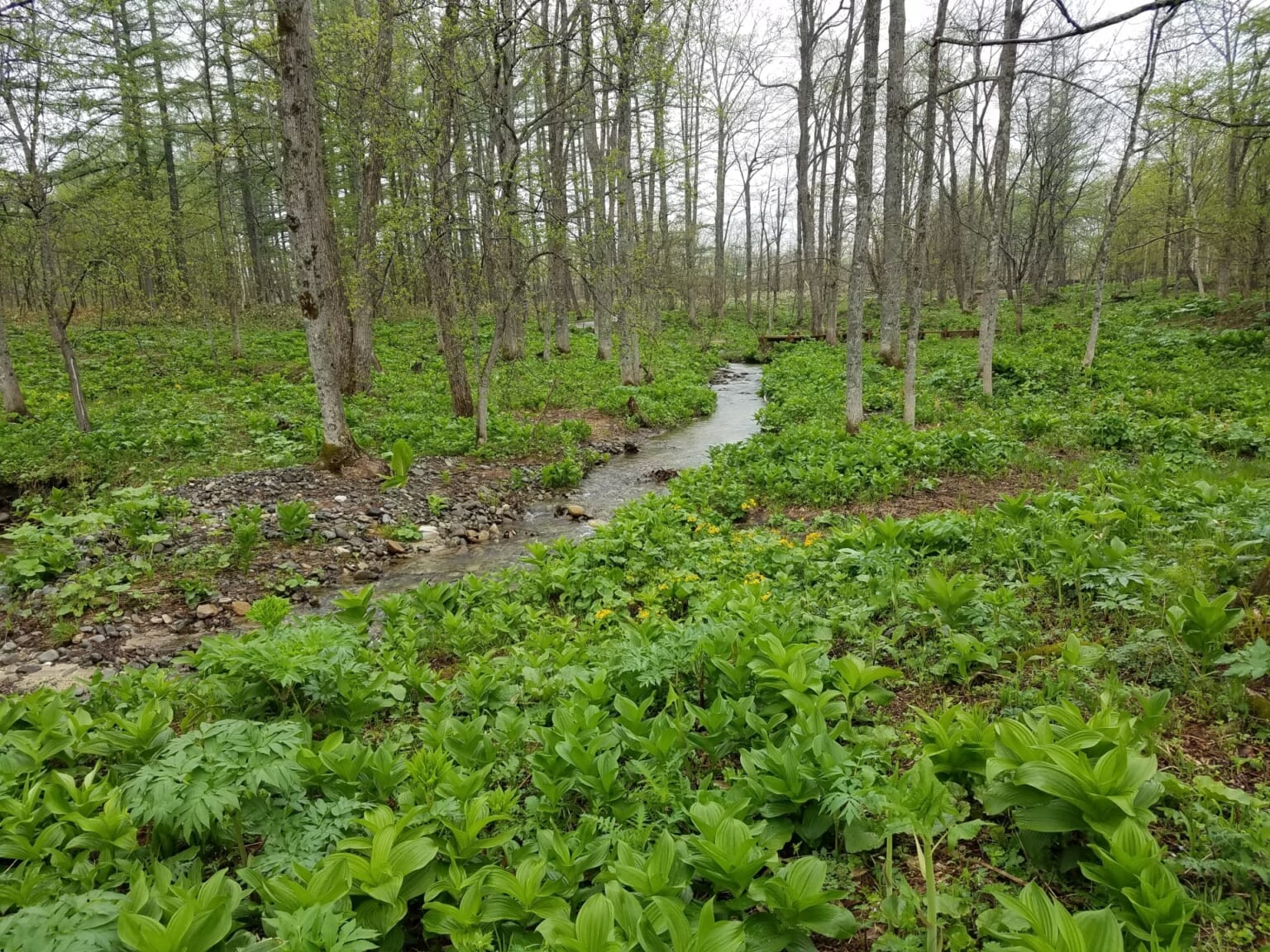 10 Best Things to Do in Tokachi - Japan Web Magazine