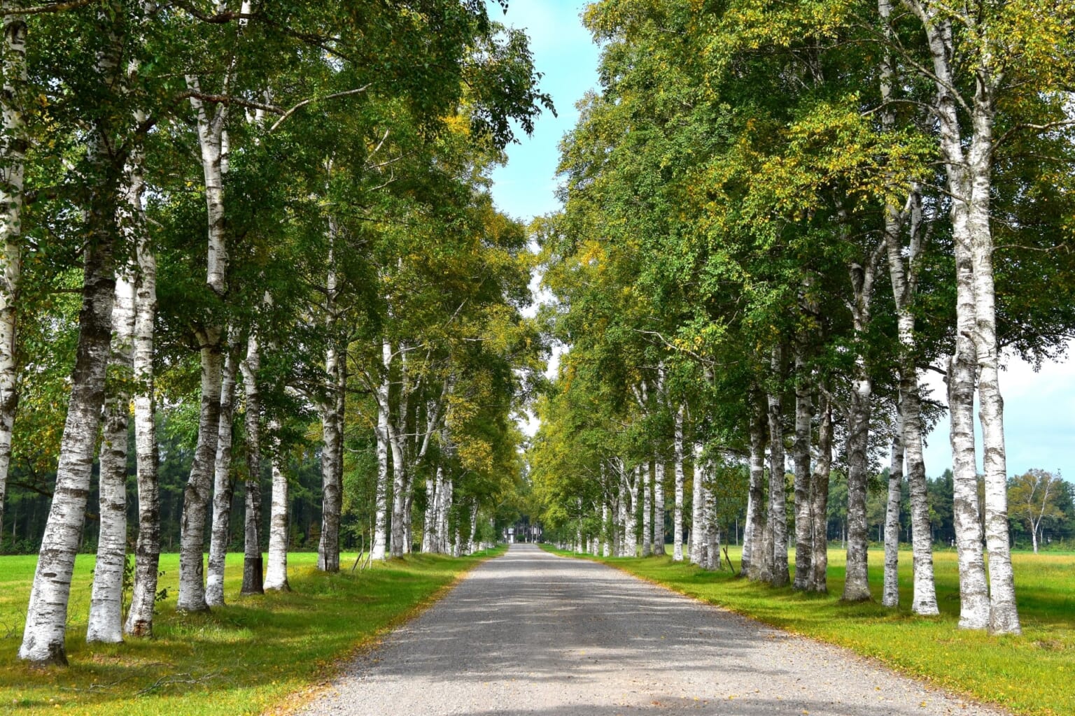 10 Best Things to Do in Tokachi - Japan Web Magazine