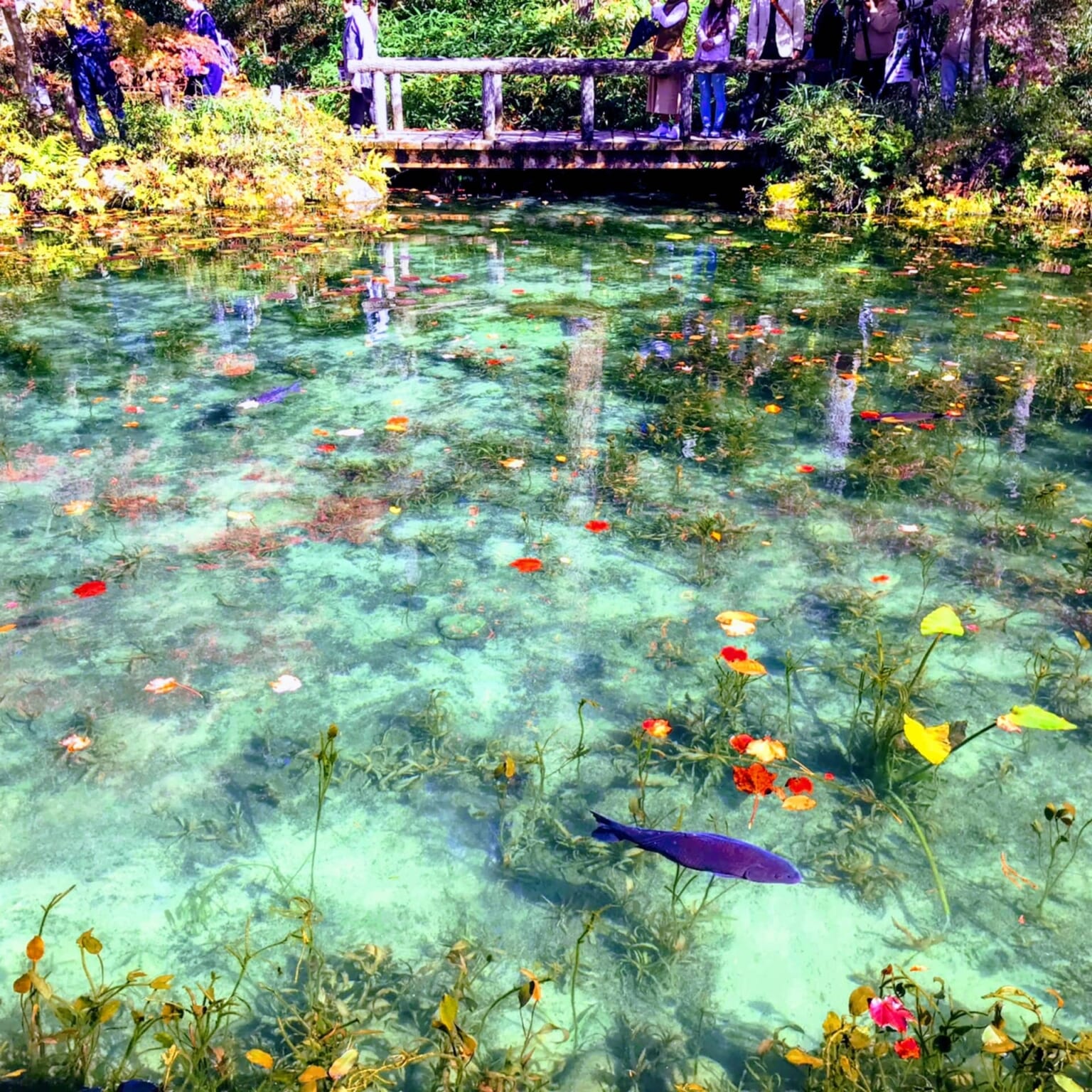 11 Best Things to Do in Gifu - Japan Web Magazine