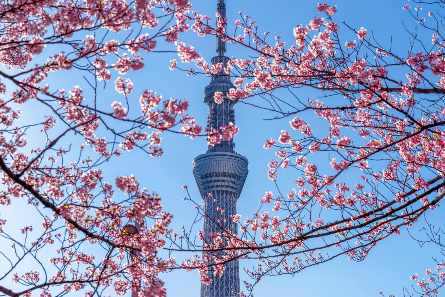 10 Best Events In Tokyo In April 2023 Japan Web Magazine 10-best-events-in-tokyo-in-april-2023-japan-web-magazine