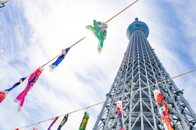 Japan Spring Travel Guide