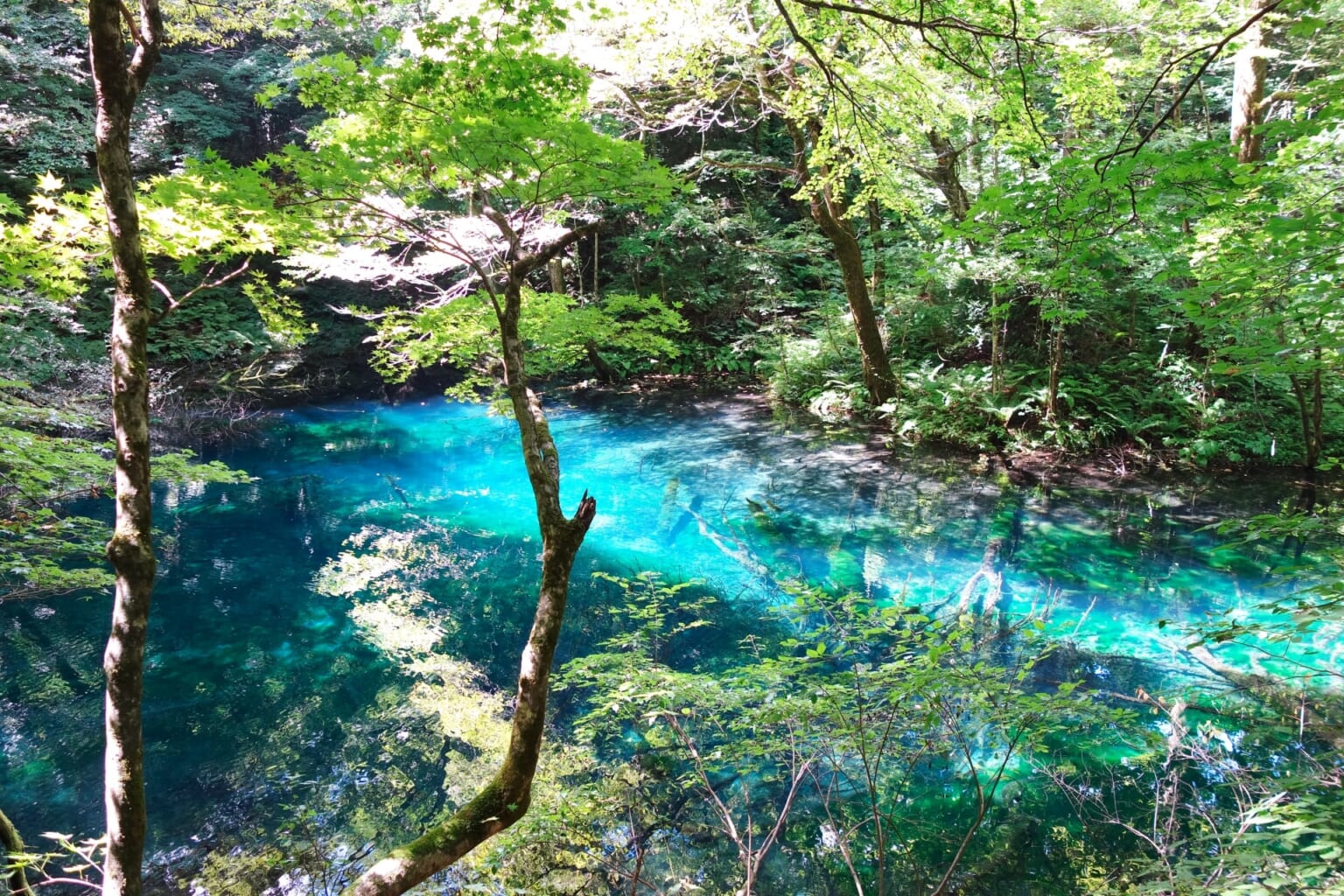 15 Best Hidden Gems in Japan - Japan Web Magazine