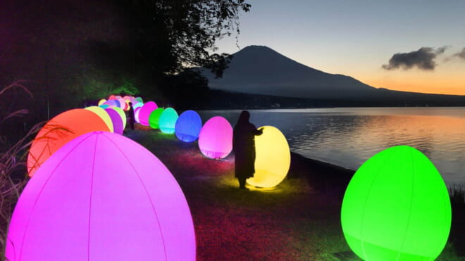Best TeamLab Spots in Japan - Japan Web Magazine