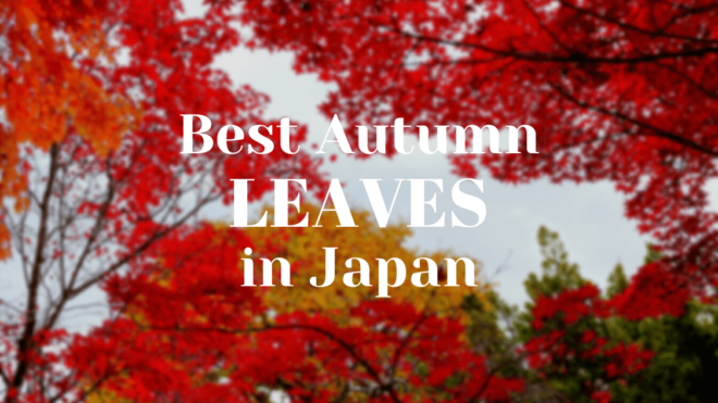 8 Best Autumn Leaves Events in Japan 2024 - Japan Web Magazine