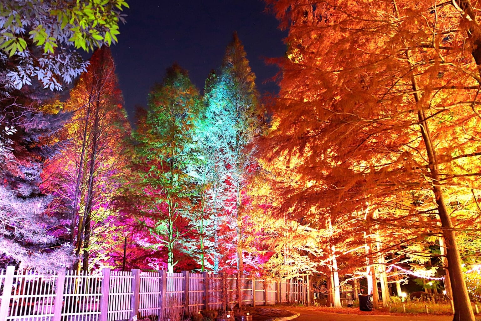 20 Best Things to Do in Kobe - Japan Web Magazine