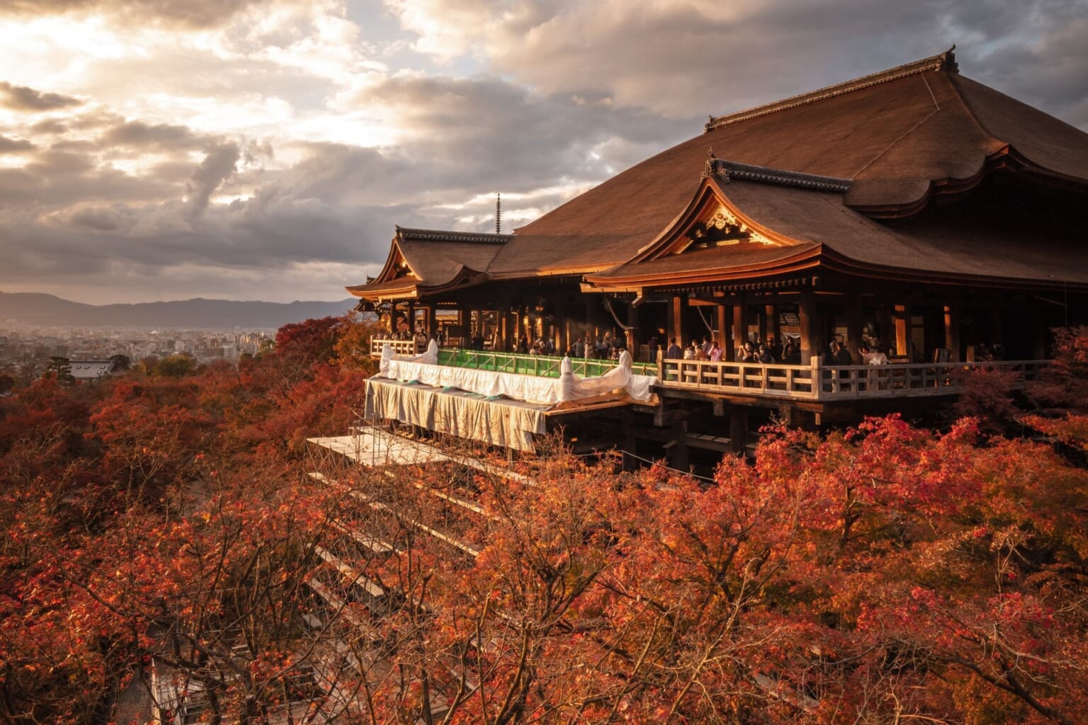 Japan Spring vs Autumn - Japan Web Magazine