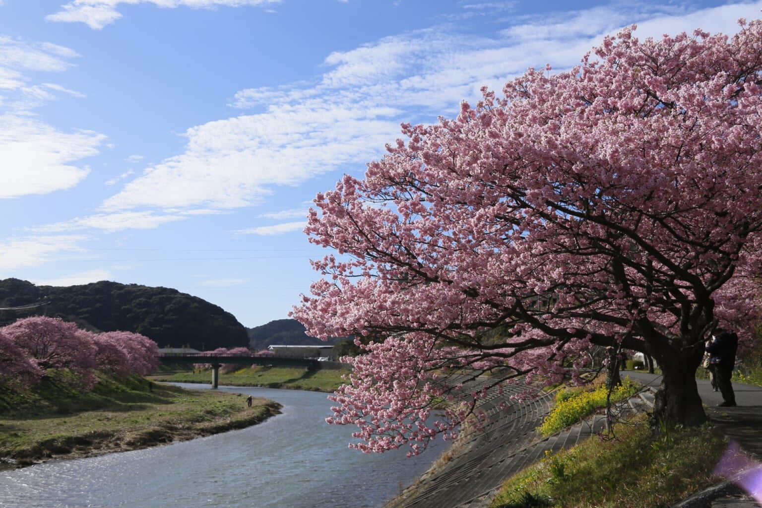 Japan Spring vs Autumn - Japan Web Magazine