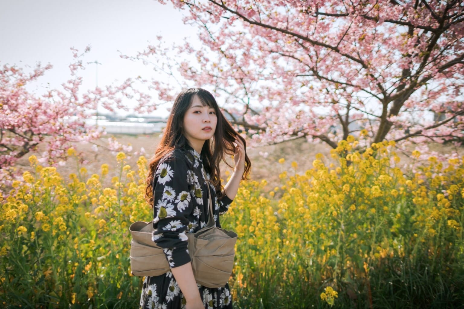 Japan Spring vs Autumn - Japan Web Magazine