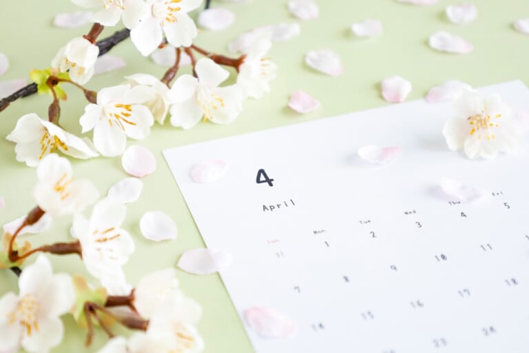 Japan Spring Travel Guide