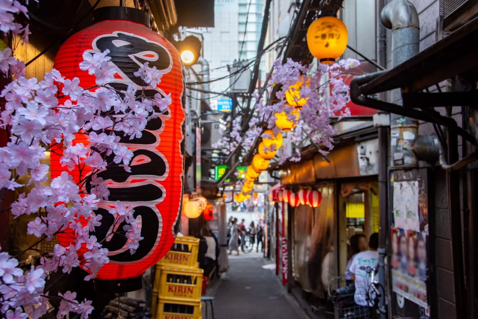 Kabukicho: Tokyo’s Red Light District, a Survival Guide - Japan Web ...