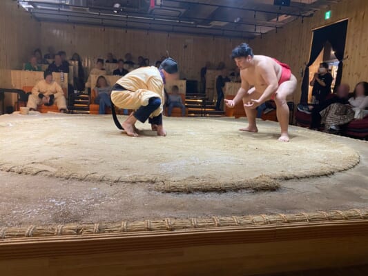 Asakusa Sumo Club: Experience Sumo Up Close while Enjoying a ...