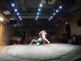 Asakusa Sumo Club: Experience Sumo Up Close while Enjoying a ...