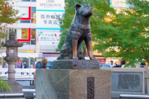 Shibuya Crossing, the Most Famous Crossing in the World! - Japan Web ...