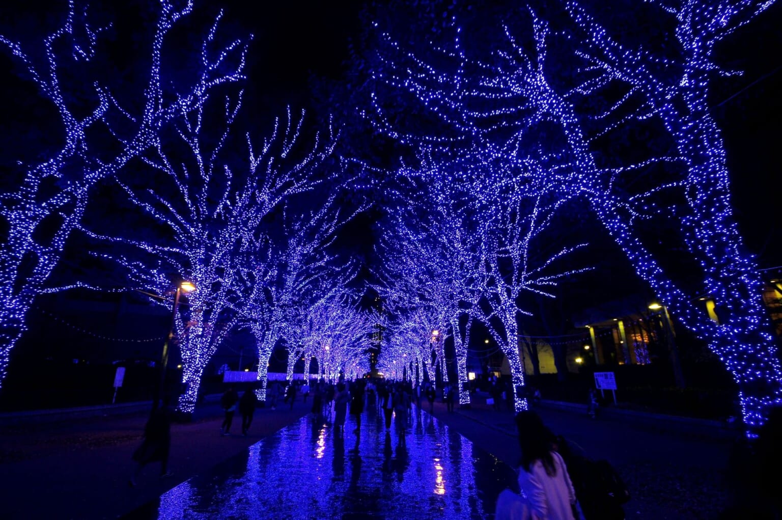 Best Things to Do in Shibuya at Night - Japan Web Magazine