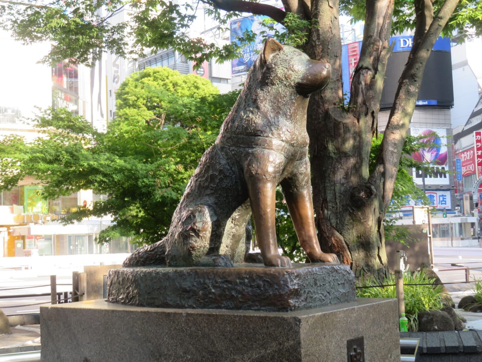 1 Day Itinerary in Tokyo: HARAJUKU and SHIBUYA - Japan Web Magazine
