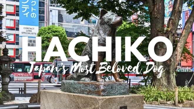 Hachiko: Japan’s Most Beloved Dog - Japan Web Magazine