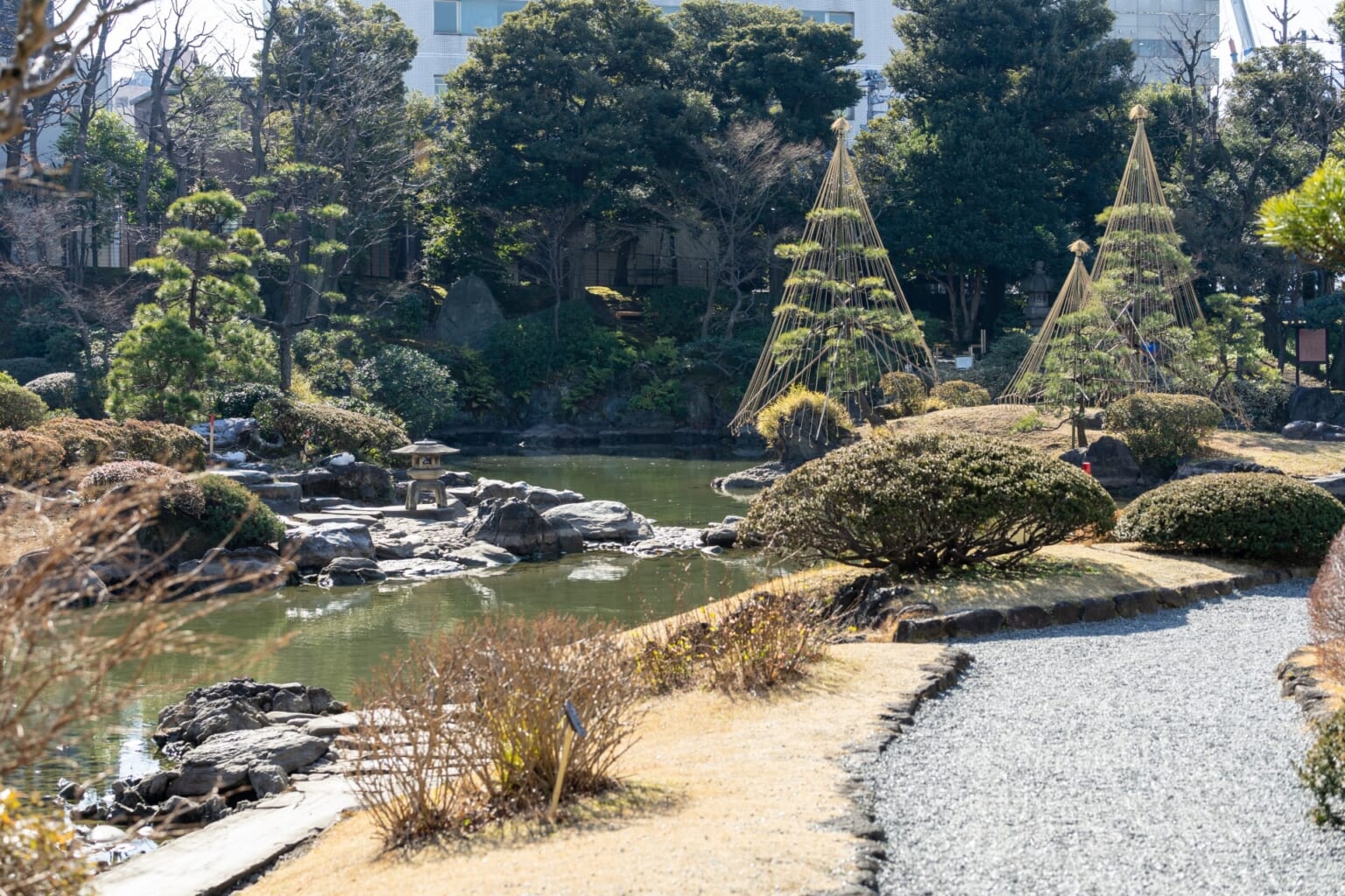 Best Things to Do in Sumida - Japan Web Magazine