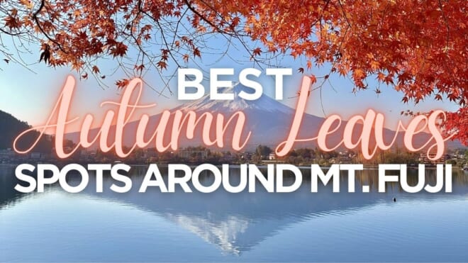 Best Autumn Leaves Spots Around Mt. Fuji - Japan Web Magazine