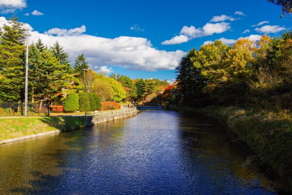 Discover Karuizawa: Your Perfect Summer Getaway Near Tokyo - Japan Web ...