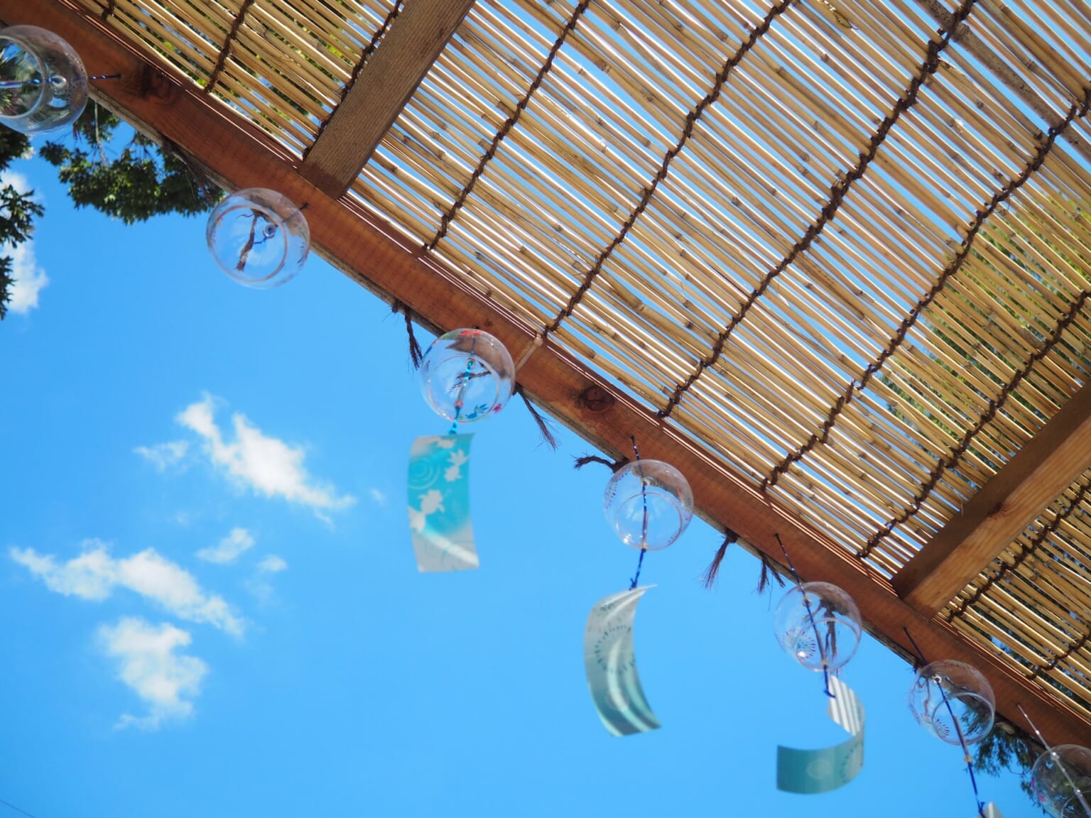 Japanese Furin Wind Chimes: The Refreshing and Elegant Melody of Japan ...
