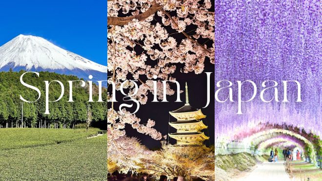 Best Time to Visit Japan in 2026: The Ultimate Month-by-Month Seasonal ...