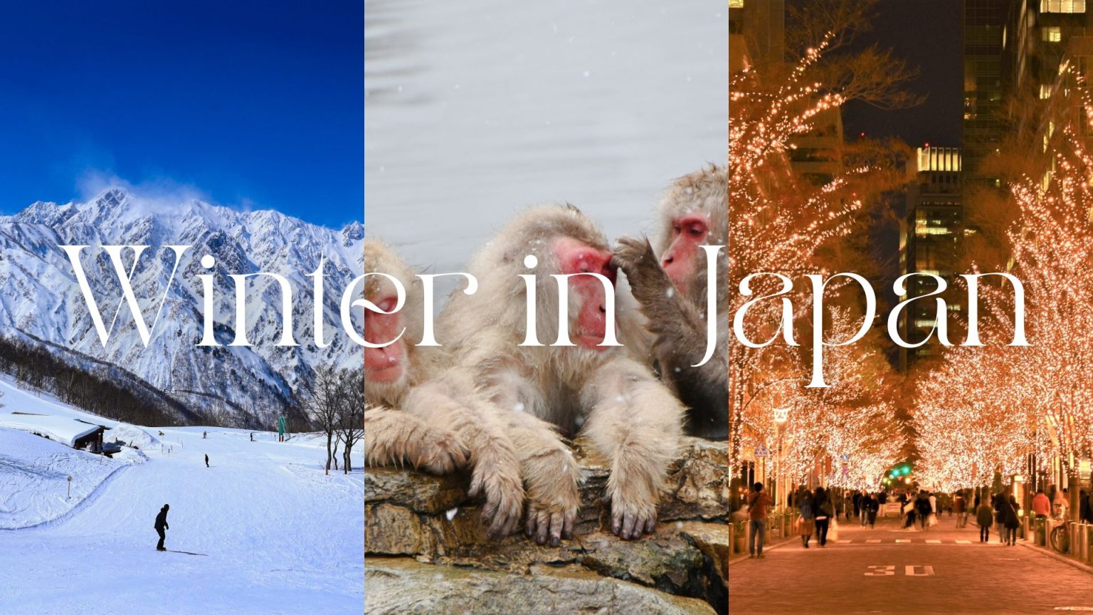 Best Time to Visit Japan in 2026: The Ultimate Month-by-Month Seasonal ...