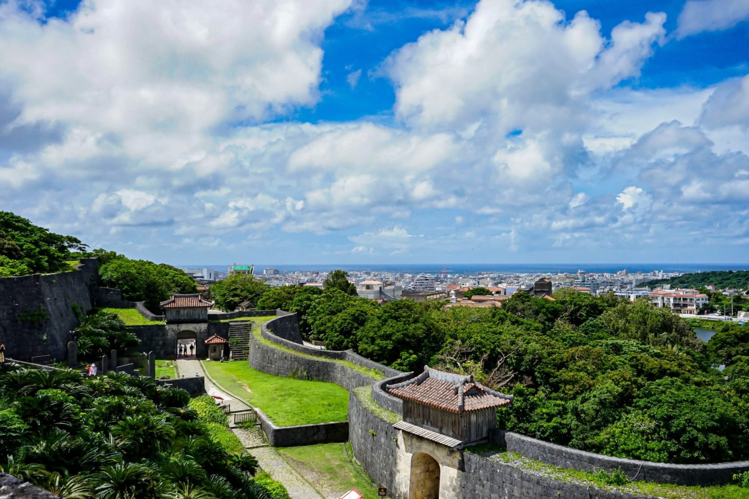 The Ultimate Okinawa Winter Guide 2025 - Japan Web Magazine
